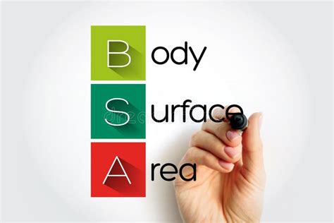 Bsa Body Surface Area Measured Or Calculated Surface Area Of A Human