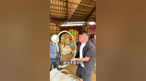 杀鸡焉用牛刀，史哥拆铜有绝招 Youtube