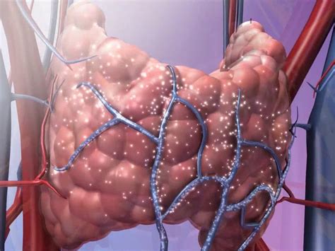 内分泌系统概述 知乎