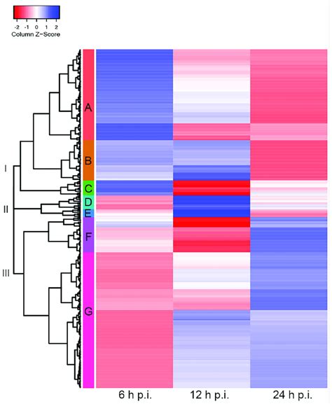 Cellular Cytoplasmicnucleoplasmic Mrna Ratios At Different Time Points