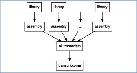 A Divide And Conquer Algorithm For Large Scale De Novo Transcriptome Assembly Through Combining