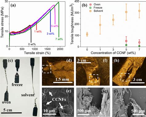 Carbonized Cellulose Nanofibril With Individualized Fibrous Morphology Toward Multifunctional