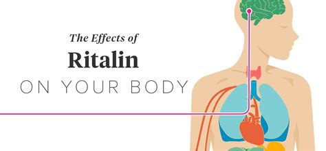 Effects Of Ritalin On The Body