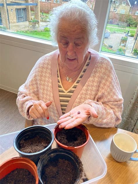 This Years Vegetable Patch Dormy Care