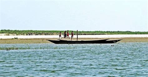 OP ED The Story Of Flooding In The Language Of Trees