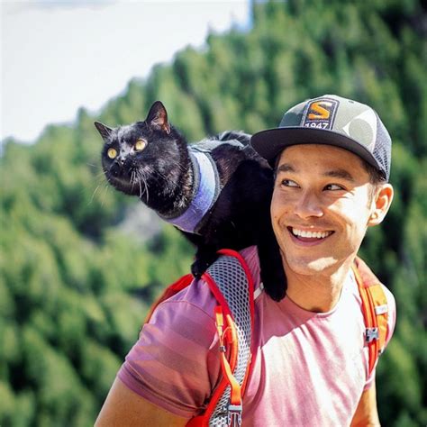 Video Adorable Backpacking Kitty Loves Adventuring With His Dad Abc News
