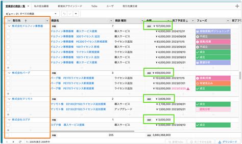 Salesforceデータをグルーピングして集計！ 「行のグループ化と小計表示」の使い方 株式会社マッシュマトリックス
