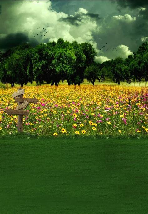 Spring Jungle Forest Trees Backdrop Pink Cherry Blossoms Green Grassland Nature Adults Portrait