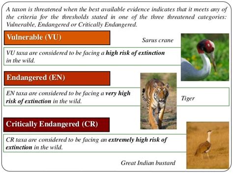 Iucn Criteria