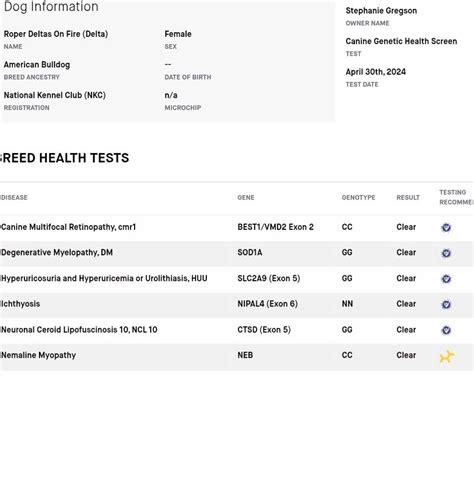 Roper American Bulldogs