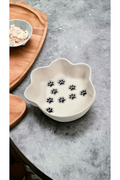 Wpawz Seramik Mama Ve Su Kabı 300 Ml Fehm Fiyatı Yorumları