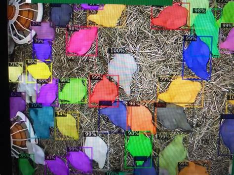 Success Story Computer Vision For Poultry Farms Hpc Montenegro