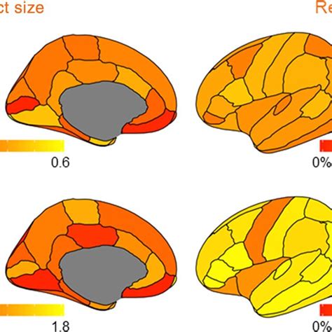 Region‐wise Effect Sizes And Reproducibility Rates Of Hemispheric Download Scientific Diagram
