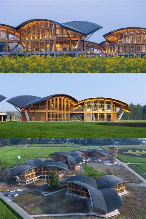 Green Seedling Project In Tianfu Agricultural Expo Garden Cswadi