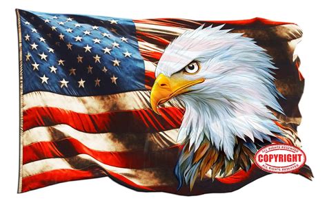 American Flag Decal Bald Eagle Design Patriotic Decor American