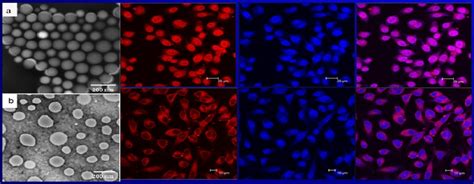 Home Lu Research Lab