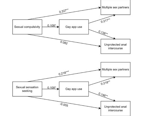 Visualization Of Path Analysis Results Of The Cross Sectional Study