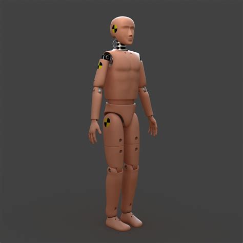 Crash Test Dummy 3d Model
