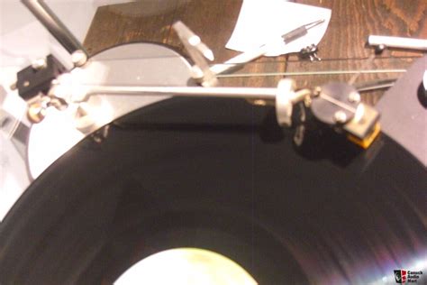 Transcriptors Skeleton Photo 1383656 Canuck Audio Mart