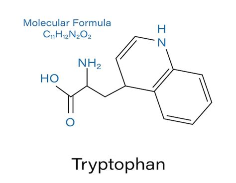 Tryptophan Structure