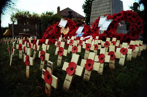 무료 이미지 공기 꽃 기념물 육군 장난감 세계 화환 크리스마스 장식 일요일 전쟁 먼저 양귀비 해군