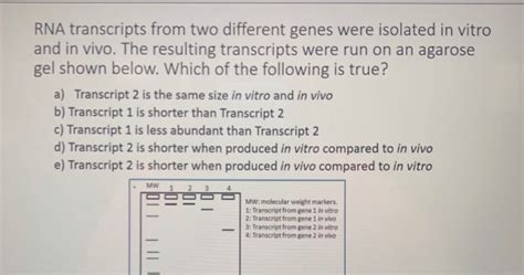 solved rna transcripts from two different genes were