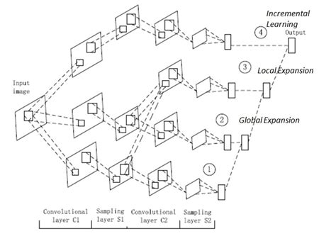 11 The Adaptive Cnn Architecture With Global Expansion 2 Local Download Scientific Diagram