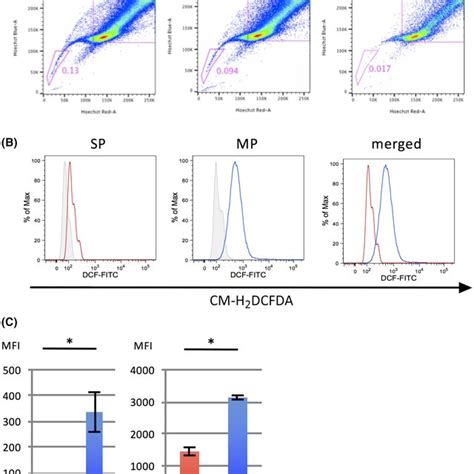 microarray analyses of gene expression in sp and mp cells of hl cell