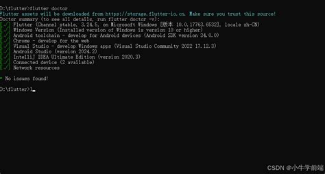 flutter环境安装 fluttersdk下载 csdn博客