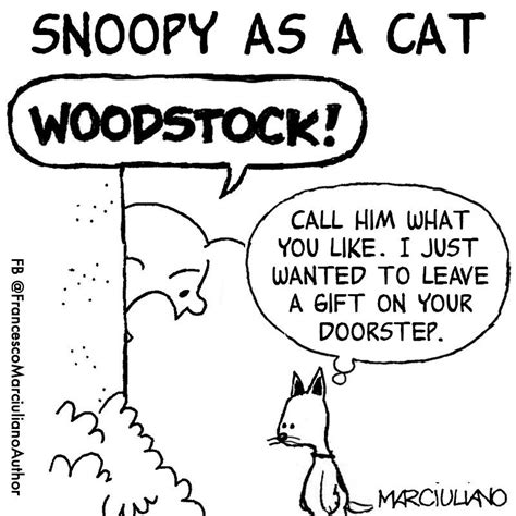 Snoopy An Cine Cat