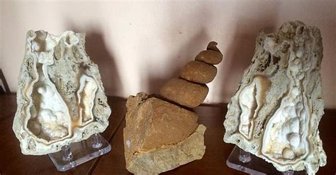 Agatized Coral Pair And A Fossilized Snail Album On Imgur