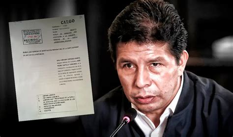 Pedro Castillo Tutela De Derechos Para Anular Denuncia Constitucional