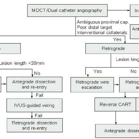 Algorithm Of Putting It Altogether Expanded Hybrid Algorithm In Cto Download Scientific
