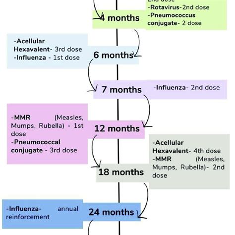 Flugogram Of Universal Vaccination Program Source Made By The Authors