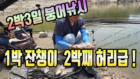 2박3일 붕어낚시 하루는 잘 되어야지 Youtube