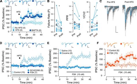 hfs induced ltp at d1 vp synapses is presynaptic and pka dependent