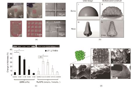 A Hydrogel Patterns Fabricated With Visible Light Induced