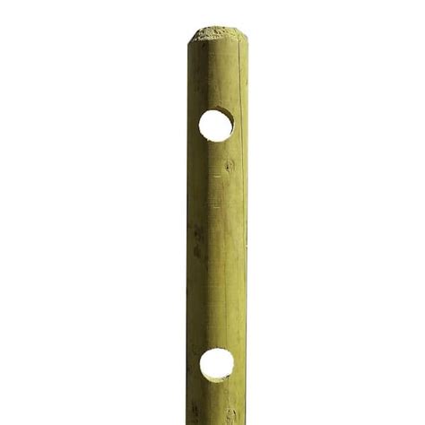 Unbranded 3 910 In X 3 910 In X 4 Ft Pressure Treated Doug Fir