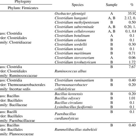 Cellulolytic Bacteria Identified In Digestate Samples Of Untreated And