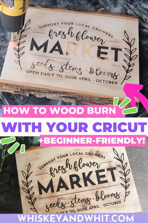 Youve Gotta See These New Cricut Decor Diys Cricut Beginner Vinyl
