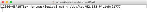 Jan David Narkiewicz Developer Testing If A Remote Port Is Open