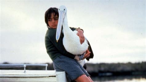 Storm Boy Video And Resources Clickview