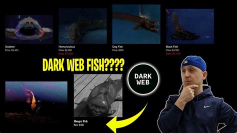 We Bought A Fish Off The Dark Web