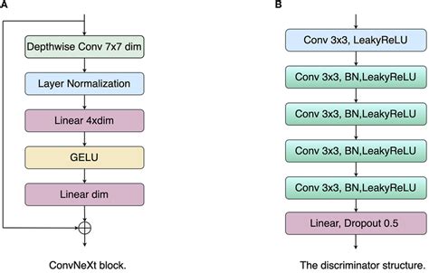 the structure illustrations of the convnext block and discriminator