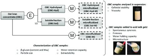 Setup Of The Experimental Design E Enzymatic Treatment M Download Scientific Diagram