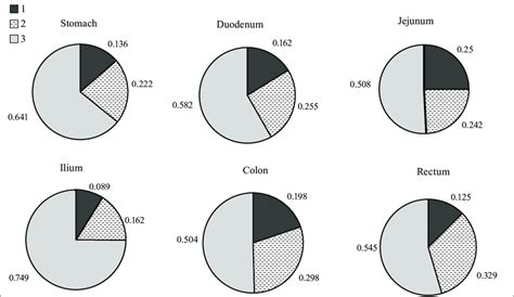 Normalized Time Parameters Of Contractile Activity Of Different Download High Resolution