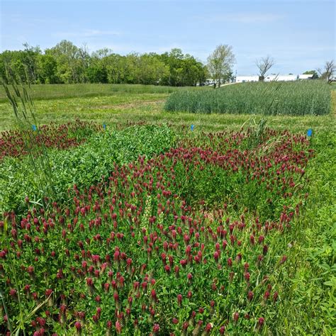 Get Involved Southern Cover Crops Council