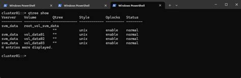 Cheat Sheet Netapp Ontap Commands Used In Day To Day Operations