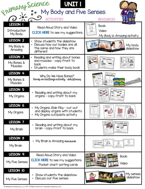 Free Natural Science And Technology Grade 5 Lesson Plans Term 4