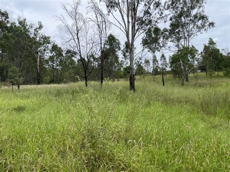 0 The Esplanade Street Eidsvold Qld 4627 Vacant Land For Sale 120 000